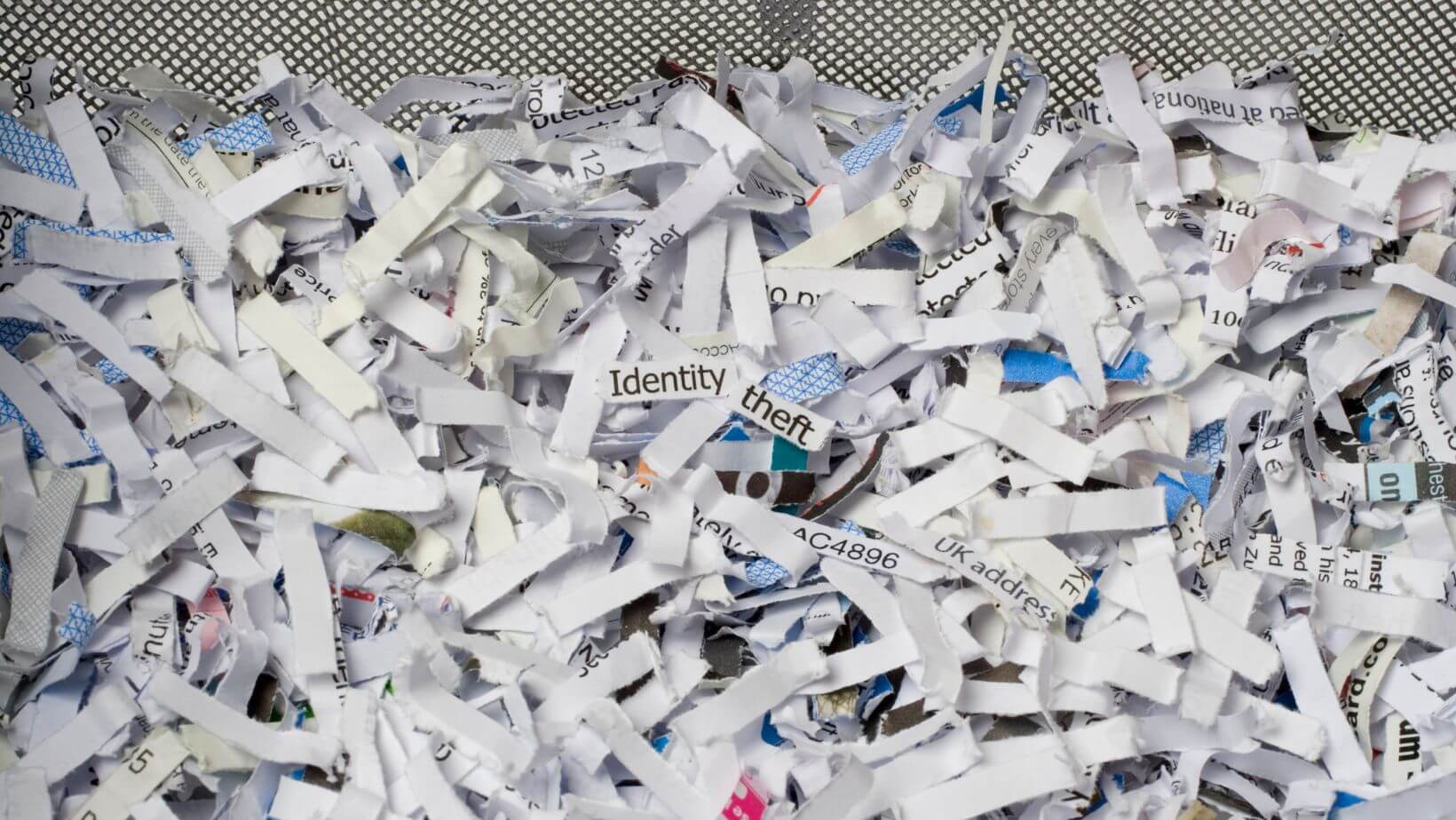 Unveiling The Power Of Shred Days - Gator Shredding